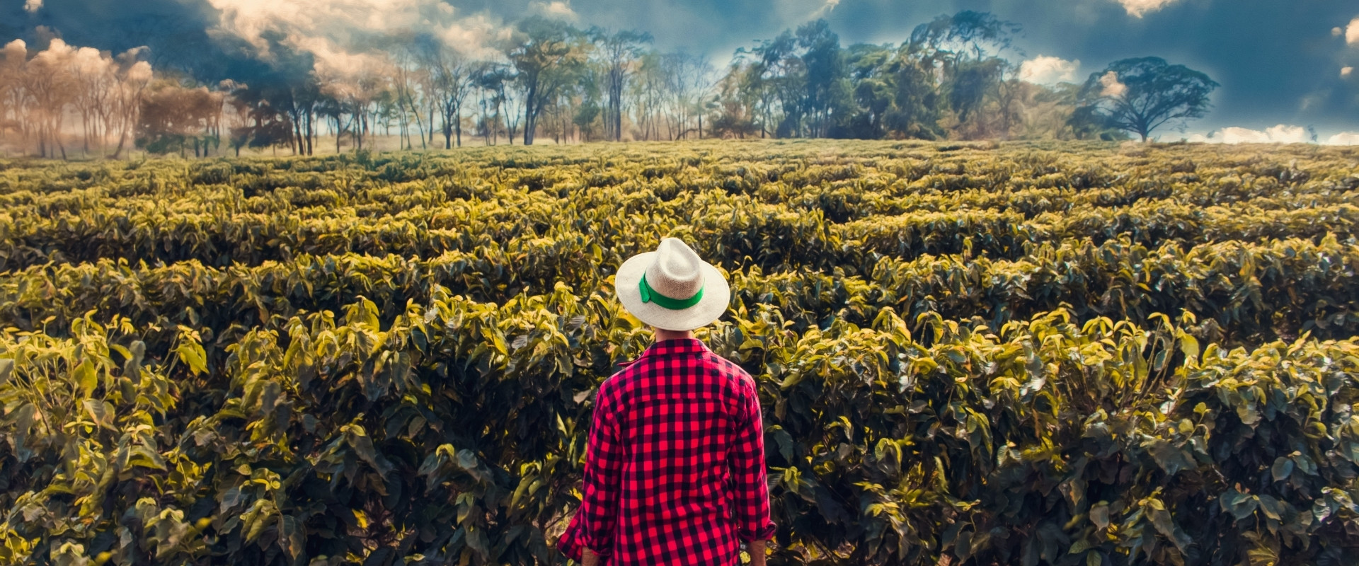 How to Use Technology for a Fair Future? - UMIO Prime